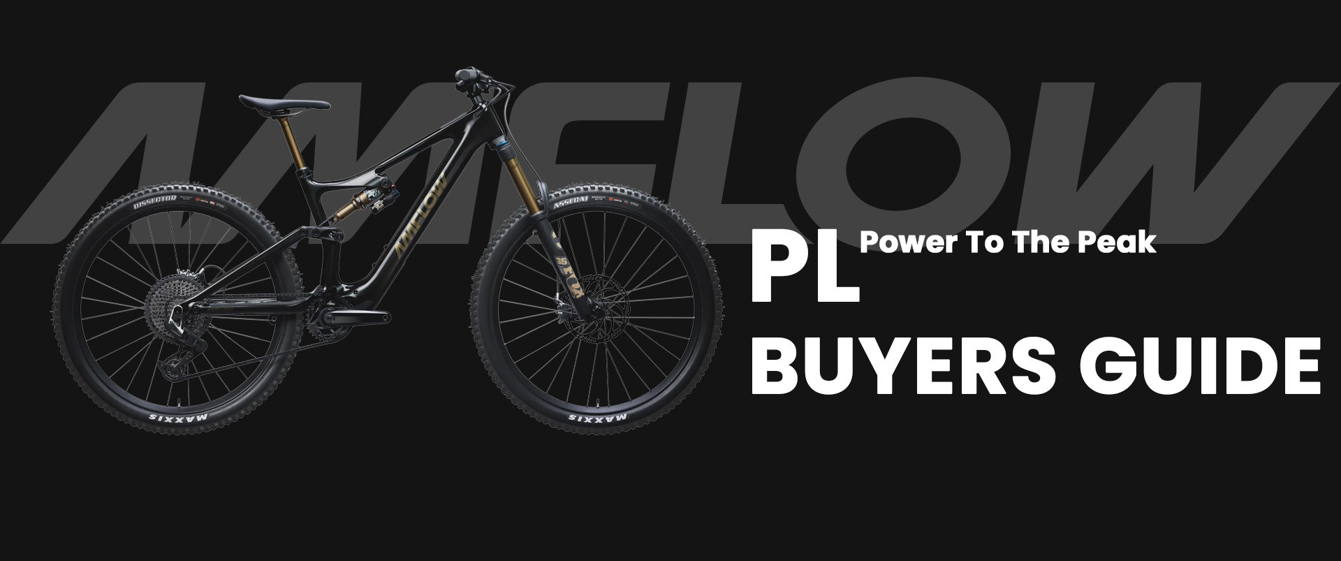 Amflow PL 2025 | Buyers Guide | Key Differences & Model Comparison ...