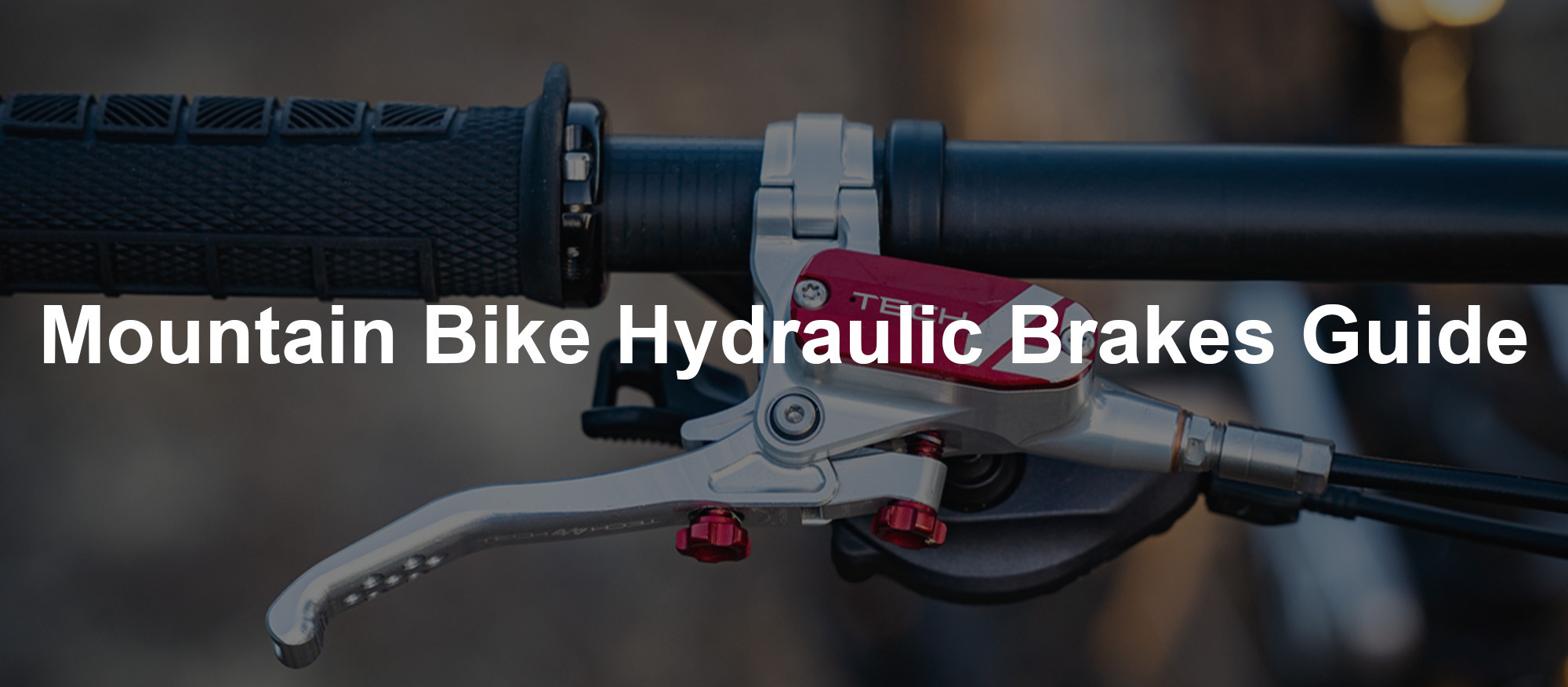 Mountain Bike Hydraulic Brakes Guide