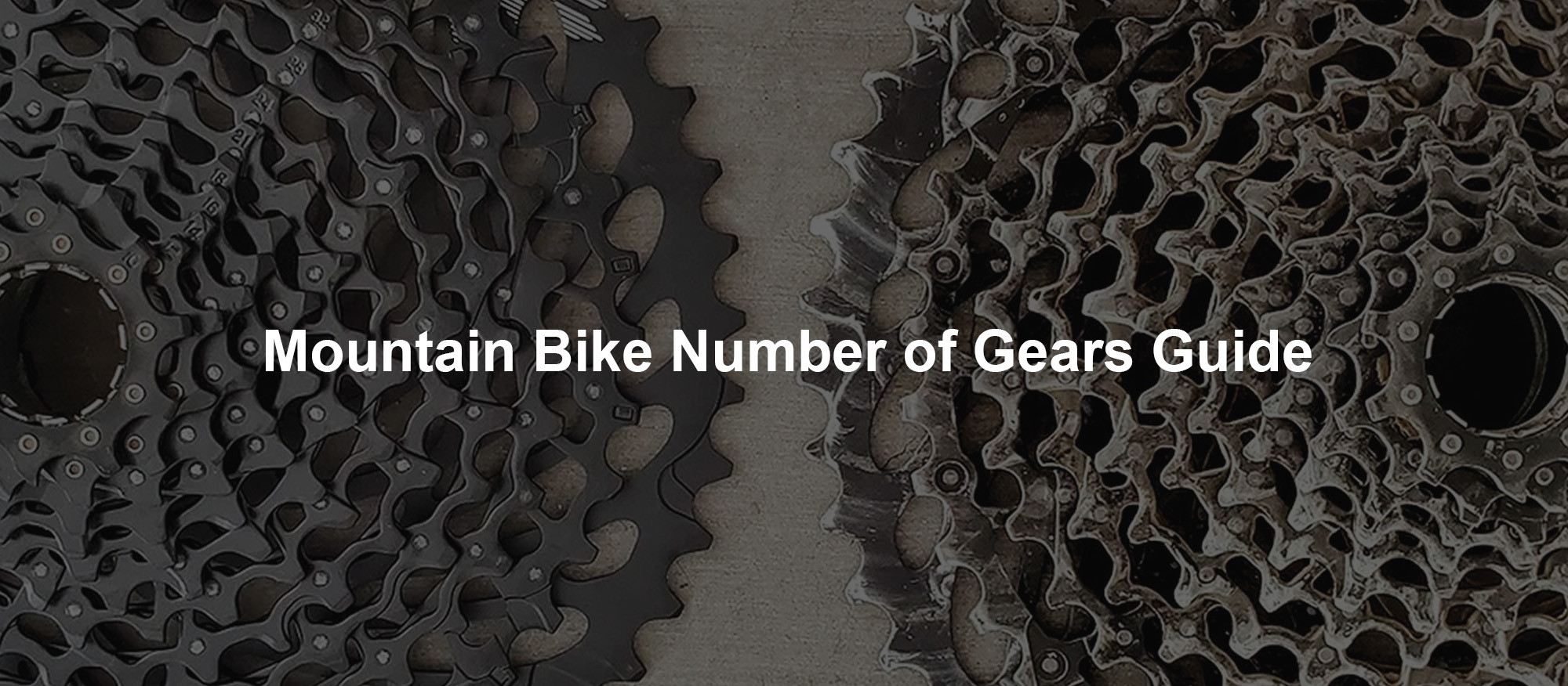 Mountain Bike Number of gears Guide