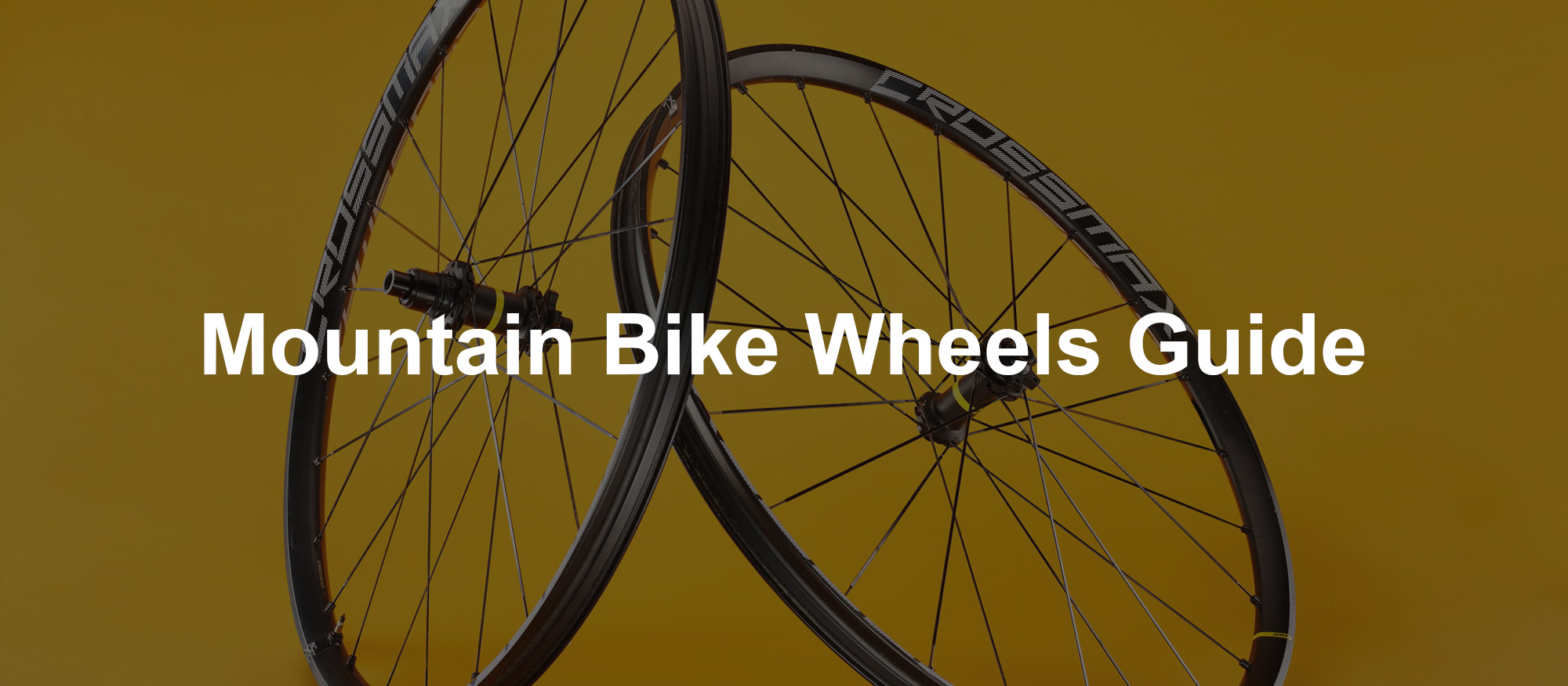 Mountain Bike Wheels Guide