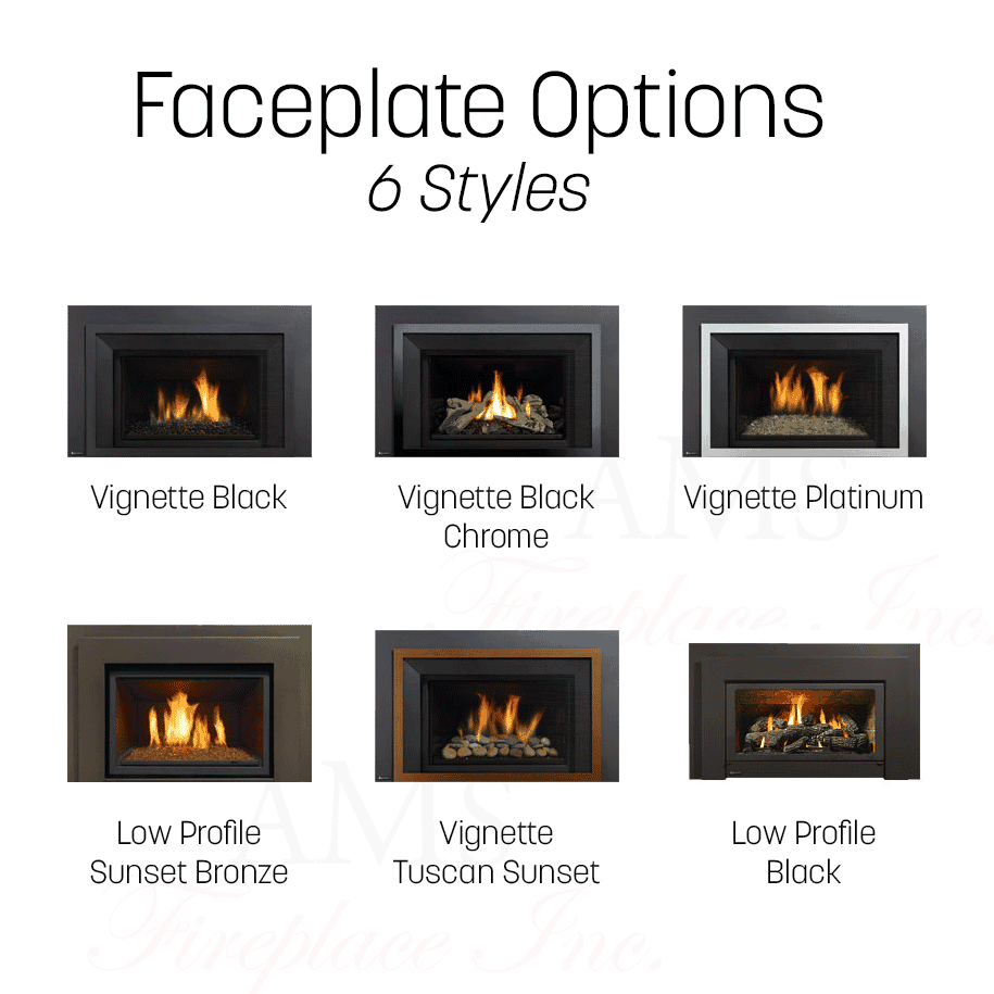 Regency Liberty® Medium Gas Insert - LRI4E - AMS Fireplace