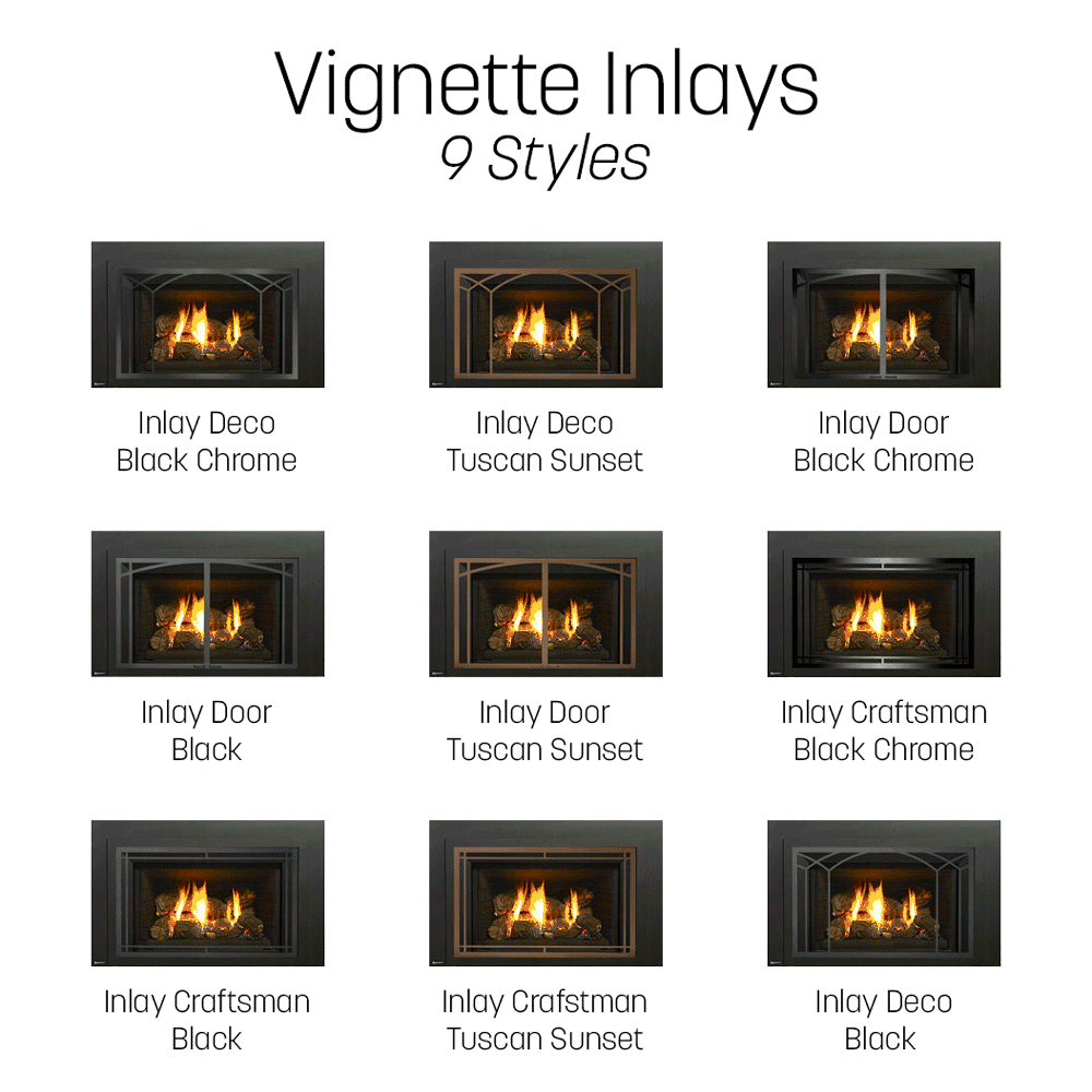 Regency Liberty® Medium Gas Insert - LRI4E - AMS Fireplace
