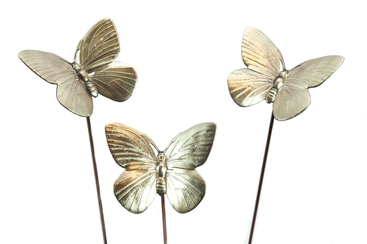 New Beginnings With The Brass Butterfly 2023 - The Brass Butterfly