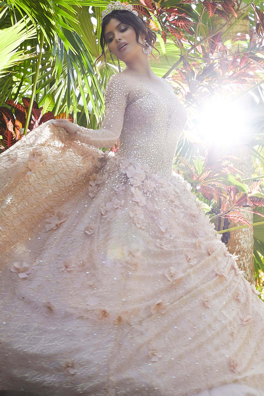 Long Sleeves Vizcaya Quintenary Ball Gown Dress 89297 ...