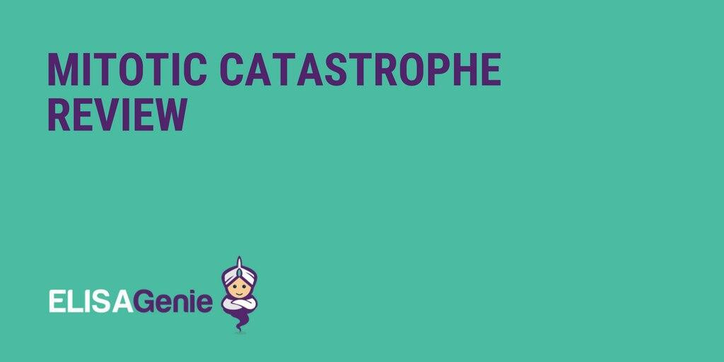 Mitotic Catastrophe Review - Assay Genie