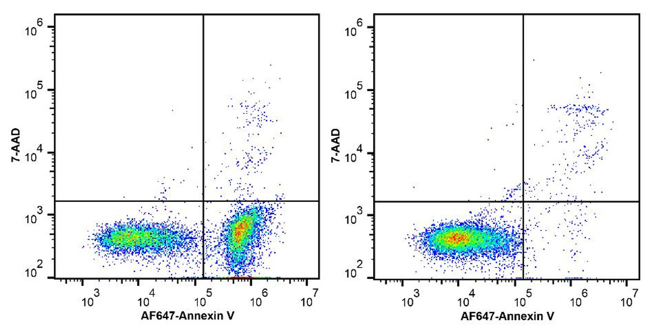 Annexin V Af6477 Aad Apoptosis Kit Akes035 Assay Genie