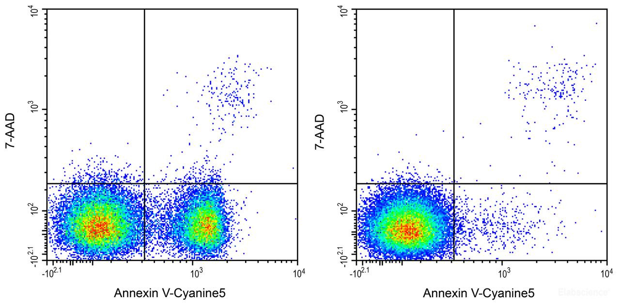 Annexin V Cyanine57 Aad Apoptosis Kit Akes042 Assay Genie