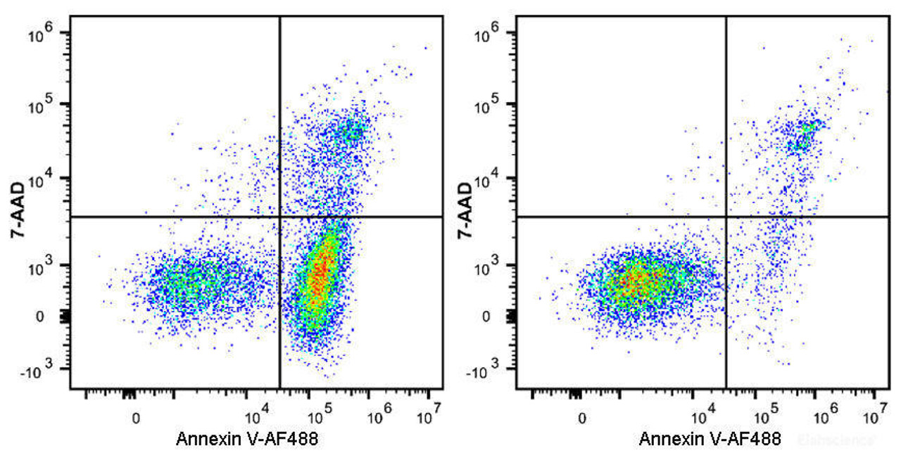 Annexin V Af4887 Aad Apoptosis Kit Akes051 Assay Genie