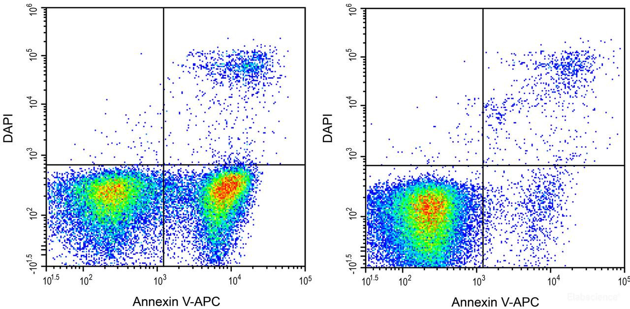 Annexin V Apcdapi Apoptosis Kit Akes057 Assay Genie