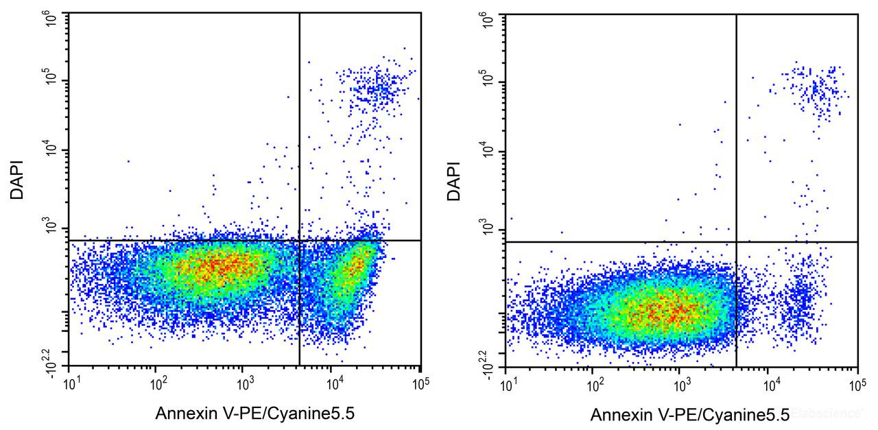 Annexin V Pecyanine55dapi Apoptosis Kit Akes061 Assay Genie