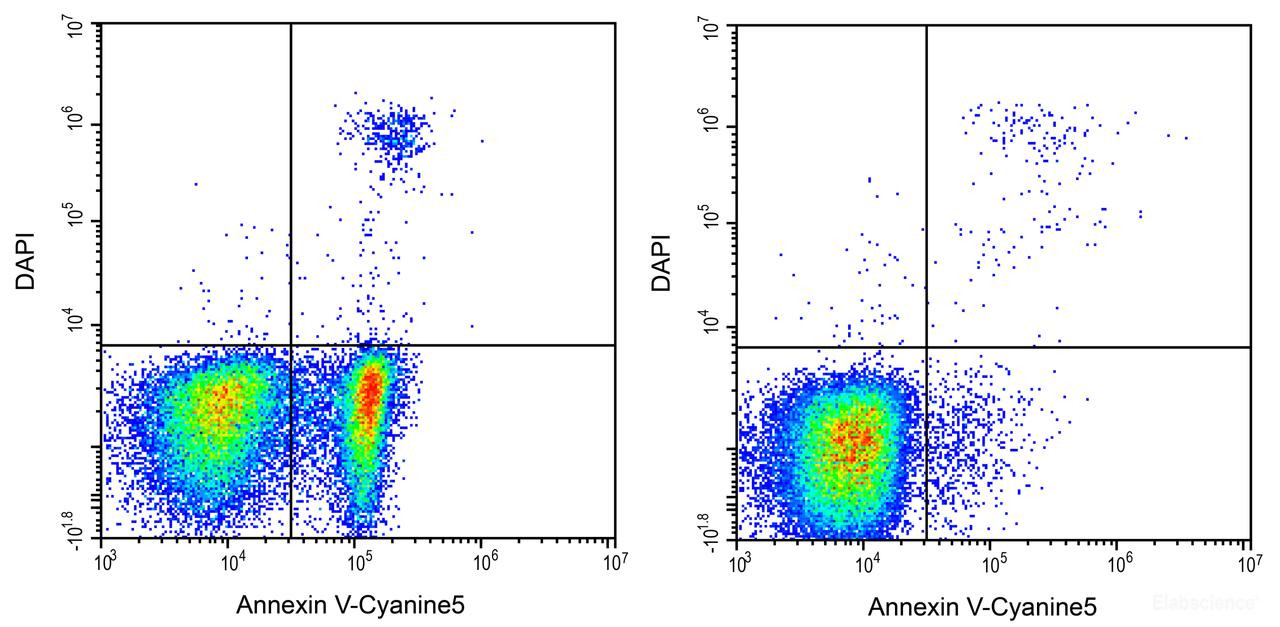 Annexin V-Cyanine5/DAPI Apoptosis Kit (AKES059) | Assay Genie