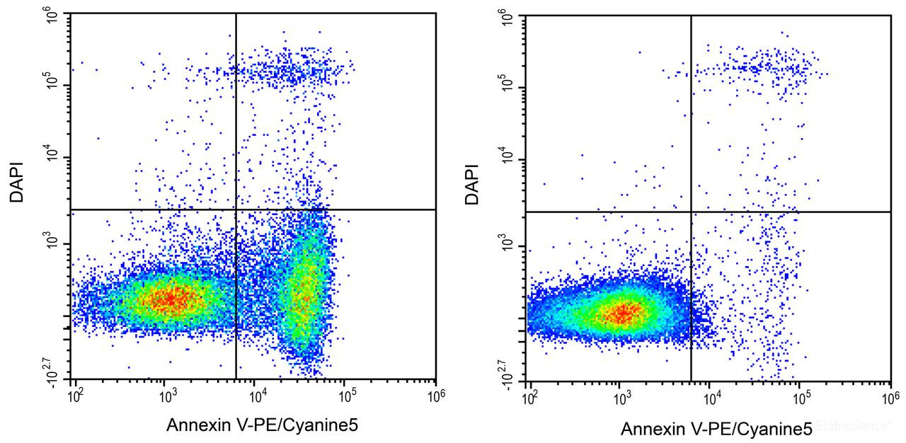 Annexin V-PE/Cyanine5/DAPI Apoptosis Kit (AKES060) | Assay Genie