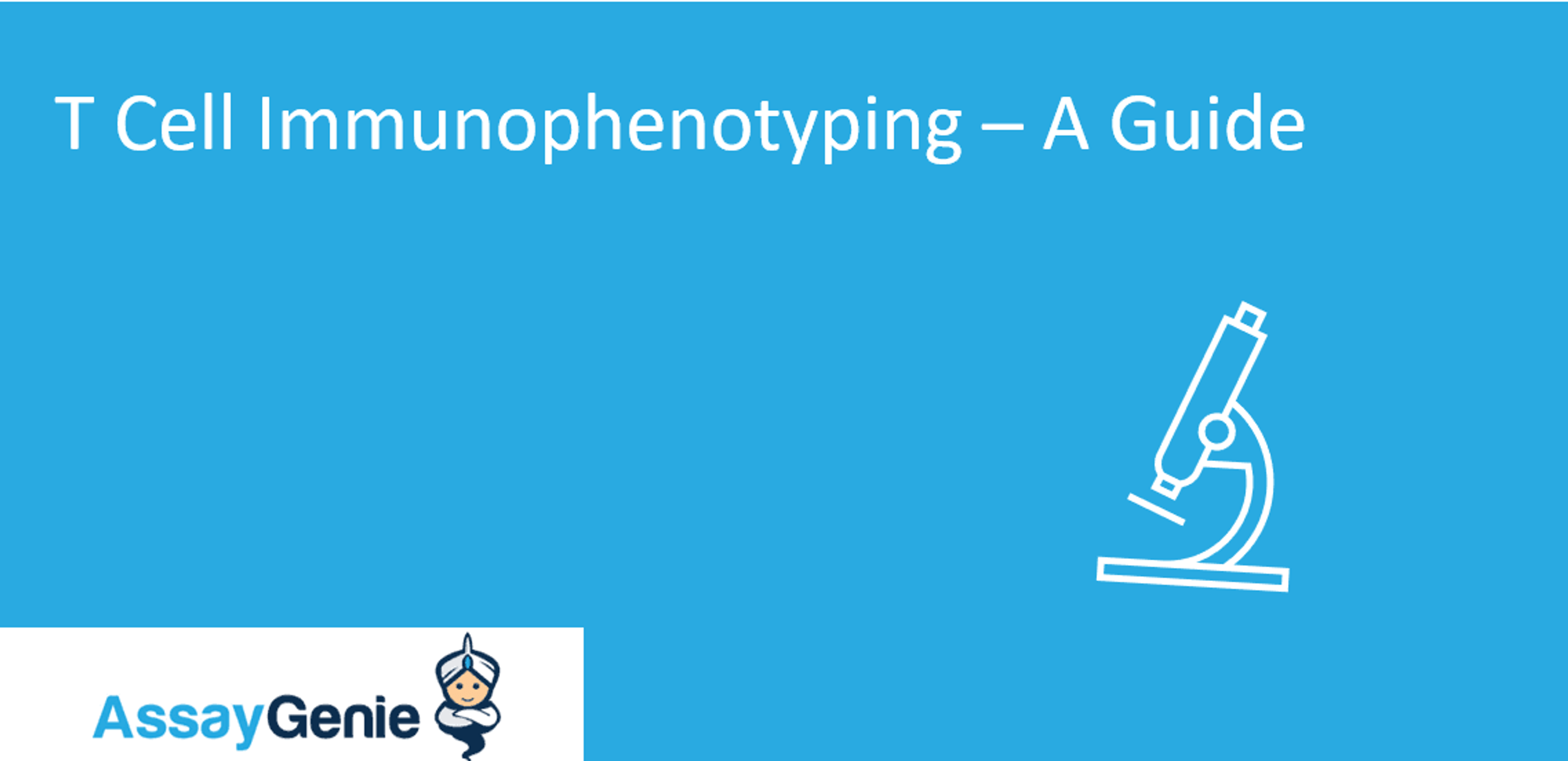 T Cell Immunophenotyping A Guide Assay Genie