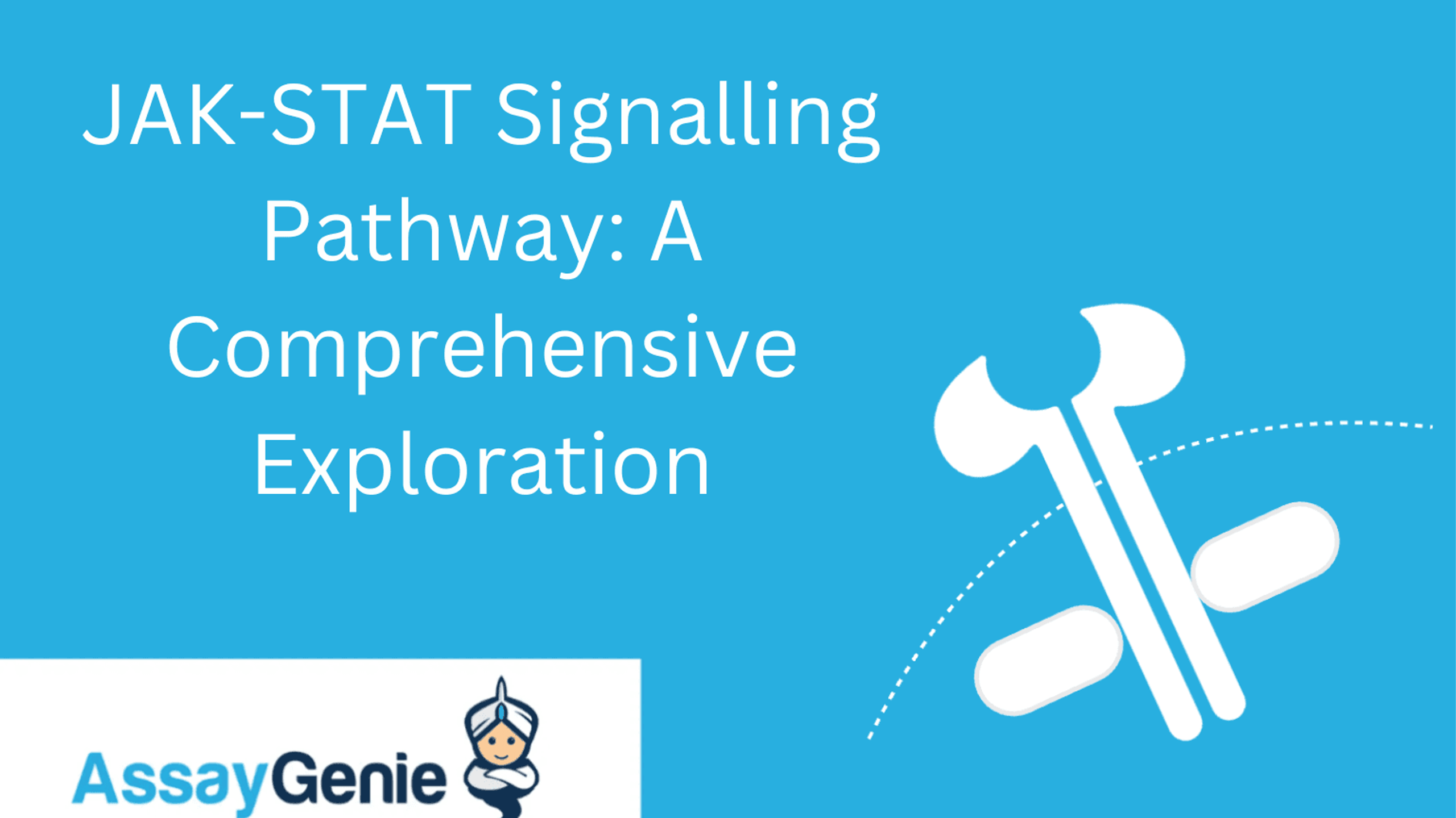 JAK-STAT Signaling Pathway: A Comprehensive Exploration - Assay Genie