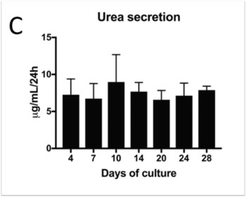 Urease Activity Assay Kit (BA0061)