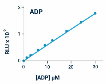 ADP Assay Kit (Fluorometric) (BA0063)