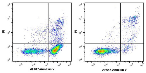 Annexin V-AF647/PI Apoptosis Kit (AKES034) | Assay Genie