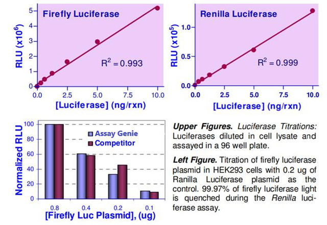 Dual Luciferase Reporter Assay Kit | Assay Genie