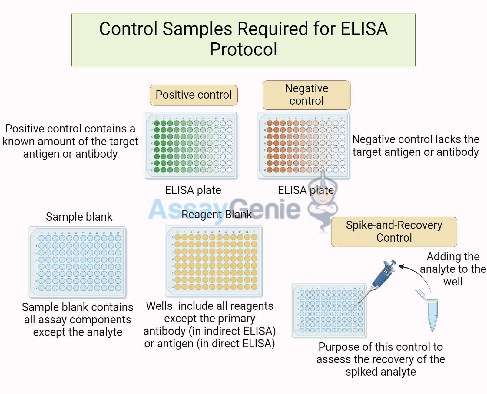 Control Samples Required for ELISA Protocol - Assay Genie