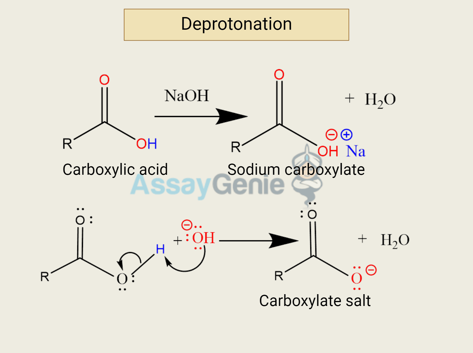 Deprotonation: Unveiling the Chemistry Behind It - Assay Genie