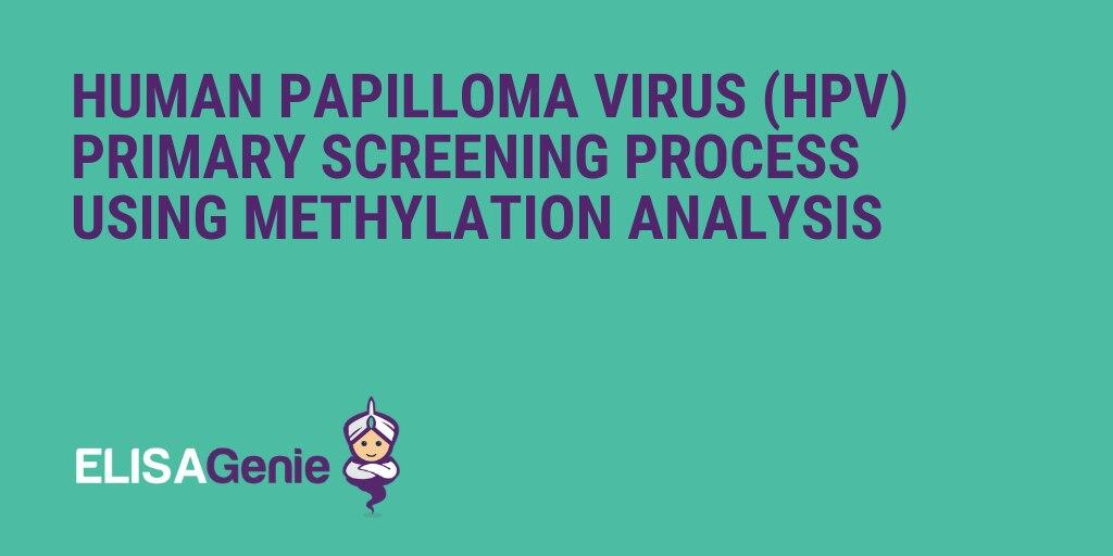 Human Papilloma Virus (HPV) Methylation Analysis - Assay Genie