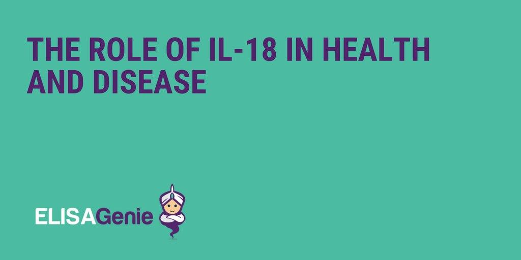 The Role of Interleukin 18 (IL-18) in Health and Disease - Assay Genie