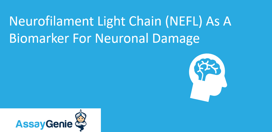 Neurofilament Light chain (NEFL) as a biomarker for neuronal damage ...