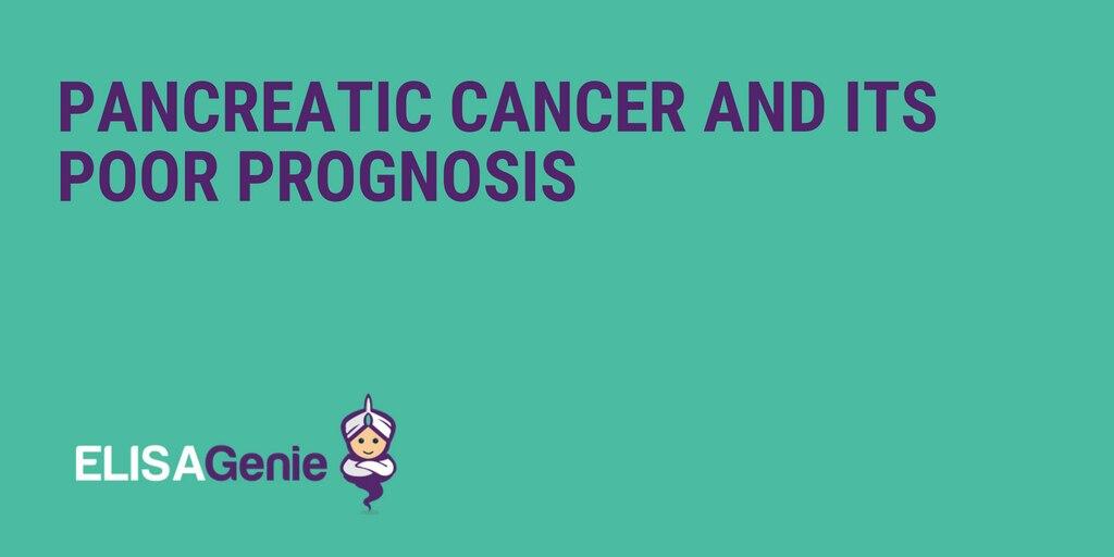 Pancreatic Cancer and its Poor Prognosis - Assay Genie