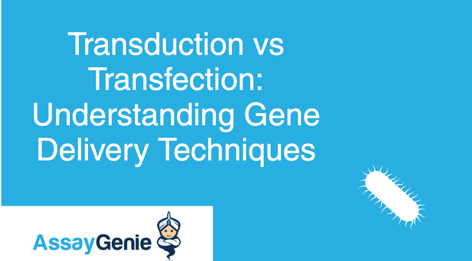 Transduction vs Transfection: Understanding Gene Delivery Techniques ...