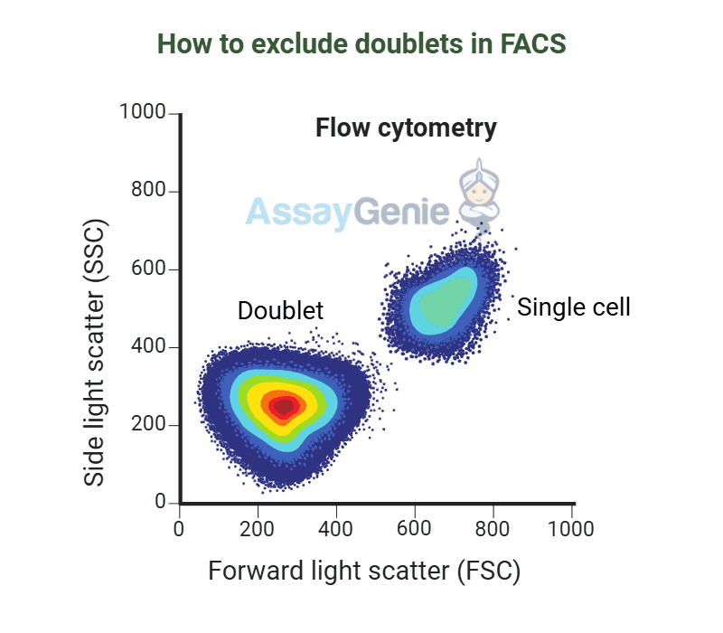 Excluding Doublets in FACS Analysis: A Comprehensive Guide - Assay Genie