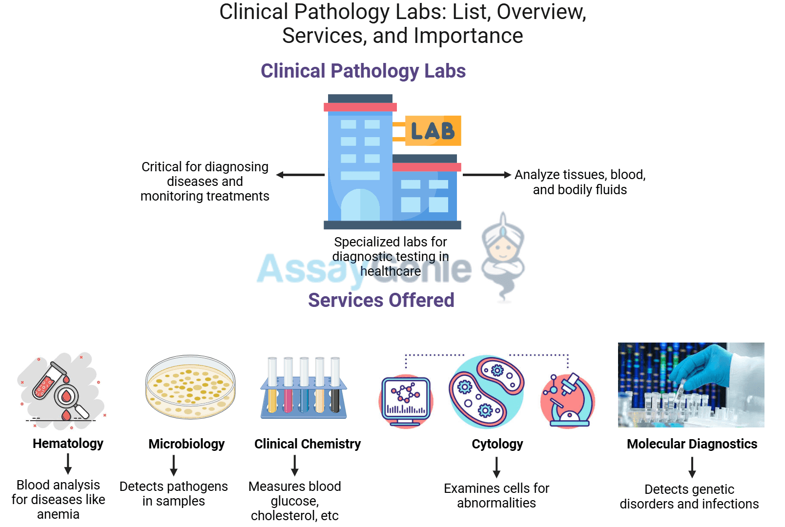 Clinical Pathology Labs List: Overview, Services, and Importance ...