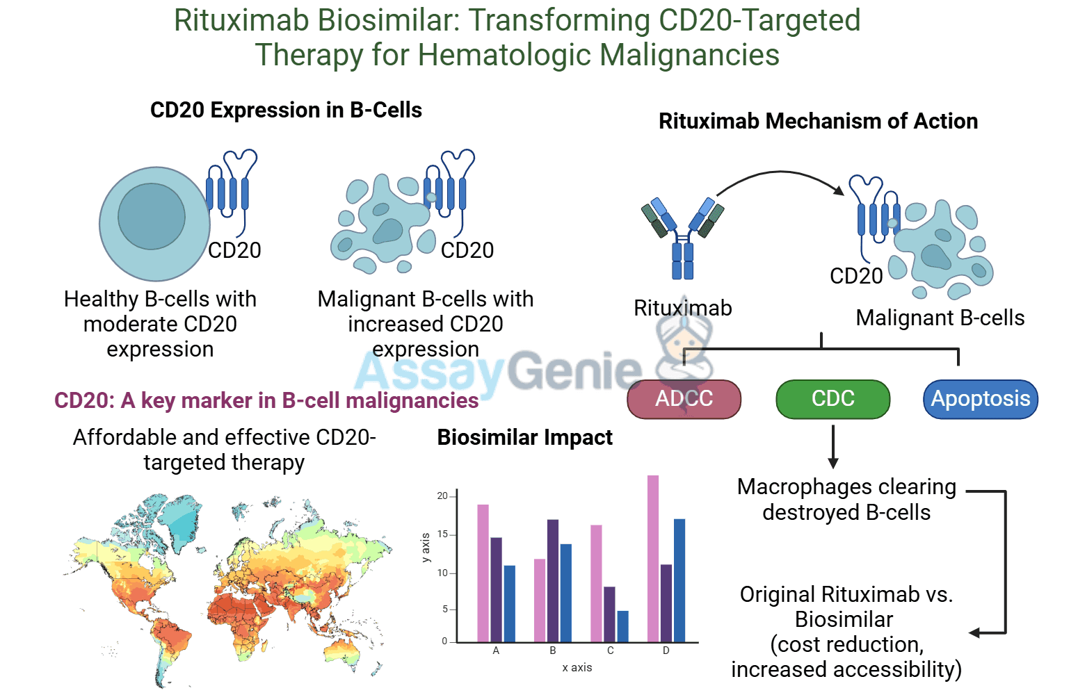 Rituximab: Mechanism, Applications, and Research Potential - Assay Genie