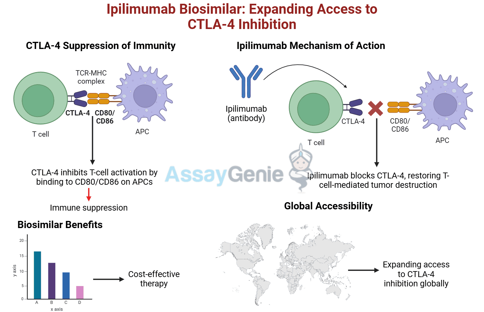 Ipilimumab and Nivolumab: Advancing Research on CTLA-4 in Cancer Therapy - Assay Genie