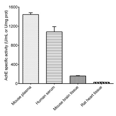 Acetylcholinesterase (AchE) Activity Assay Kit (MAES0131)