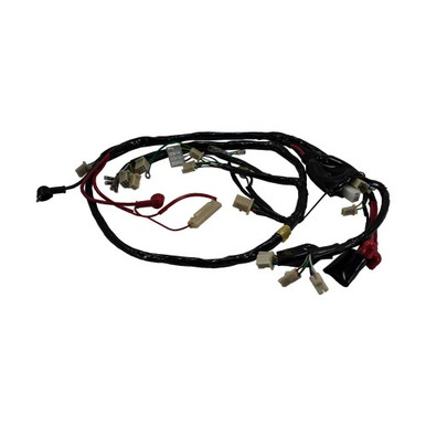 Wire Harness Blaze