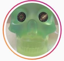 Mr. Gray Products - Elev8