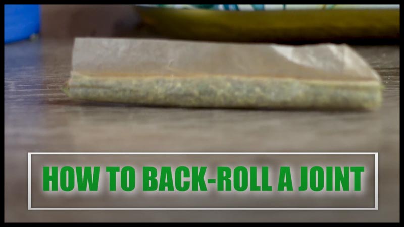 How to Back-Roll a Joint - Elev8