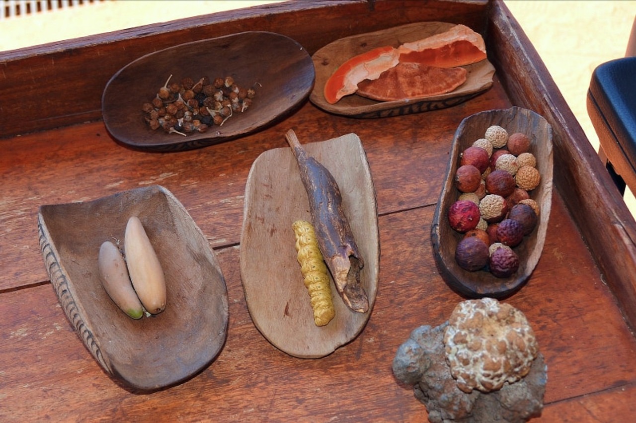 Traditional Aboriginal Foods - AussieVibes