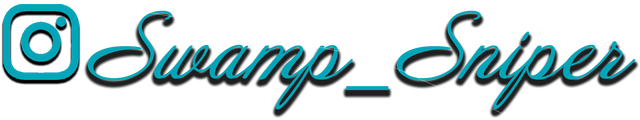 4PF Logo 2