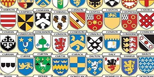 McCourts of Dublin | Heraldic Family Names of Ireland w/ Shields and ...
