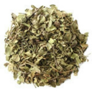Chaparral Herb cut & sifted 1 oz. - the T Room, LLC Herbal Teas, Loose ...