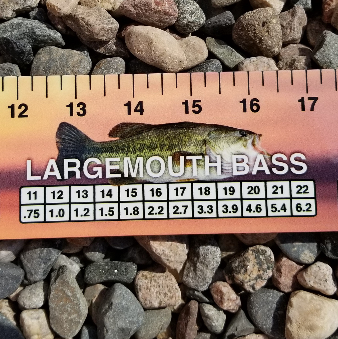 GOICEFISH.COM Fish Ruler - GoIceFish