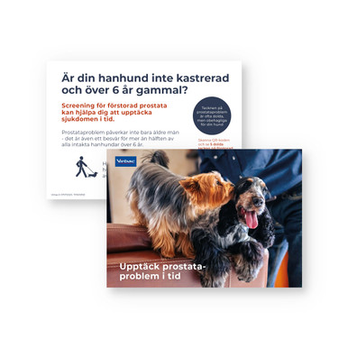 Teaser kort / Upptäck prostataproblem i tid