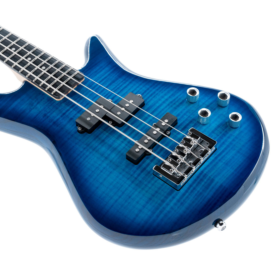 Spector LG4STBKS Legend Standard 4 String Bass Guitar - Black Stain ...