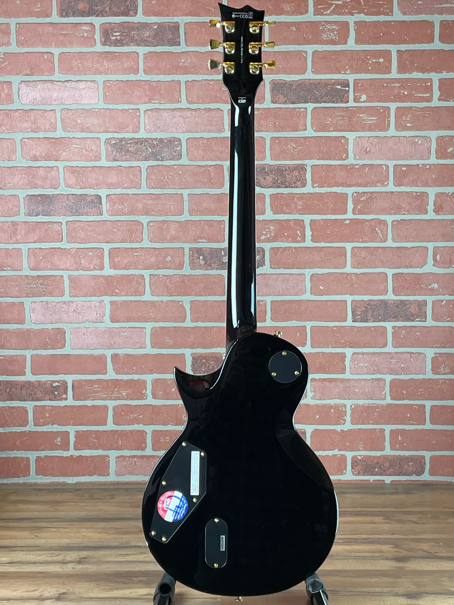 ESP LTD EC-1000 Electric Guitar - Black at No Limit Guitar Co.