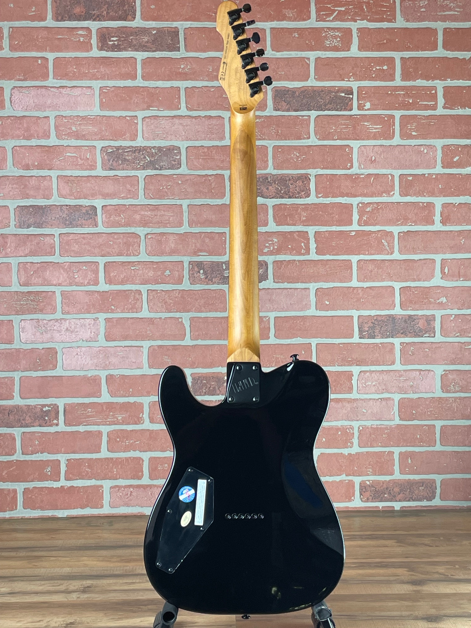 ESP LTD TE-200DX Electric Guitar - Purple Burst at No Limit Guitar Co.