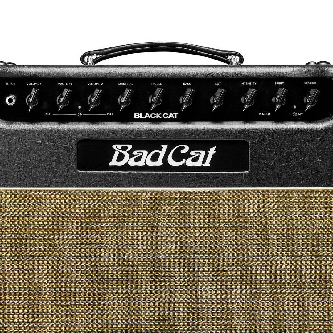 Bad Cat Amplification Black Cat 1x12 Combo Amplifier at No Limit Guitar Co