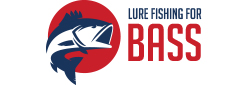 Storm Chug Bug – MadFlash - Lure Fishing for Bass