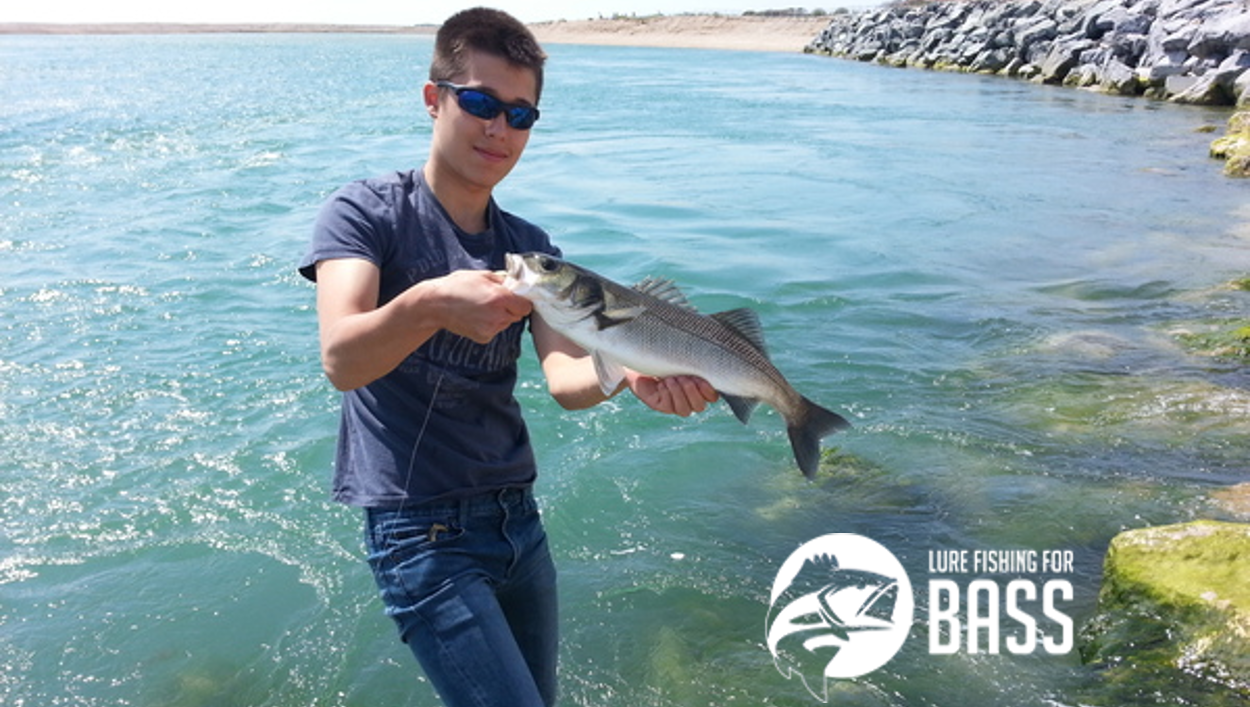 Finding Bass From The Shore - Lure Fishing for Bass