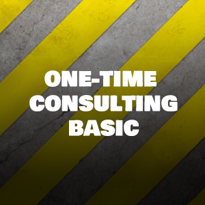 One-Time Consulting - Basic